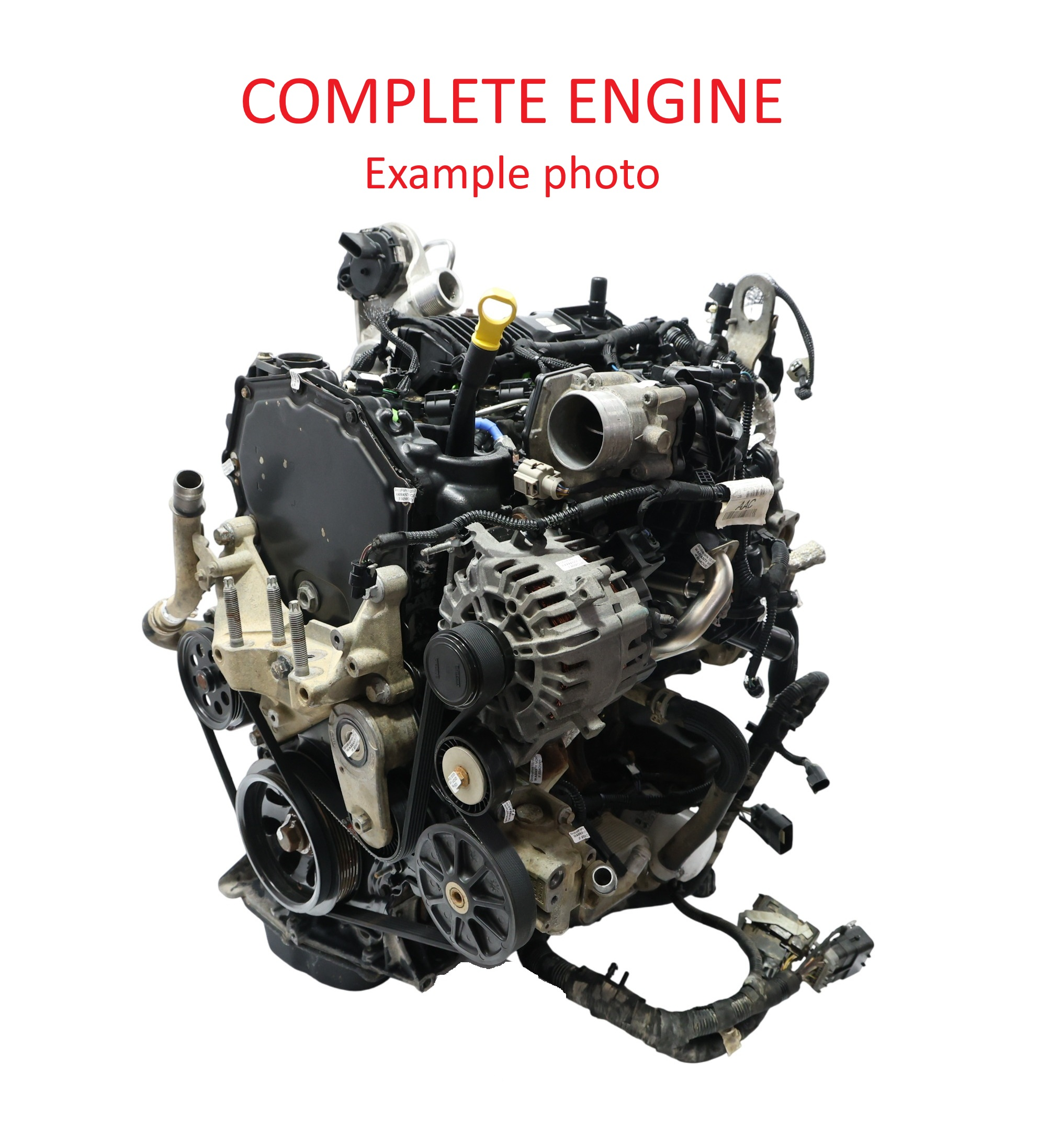 Ford Transit Mk8 Bare Engine YNR6 2.0 EcoBlue 170HP with 49k miles ...